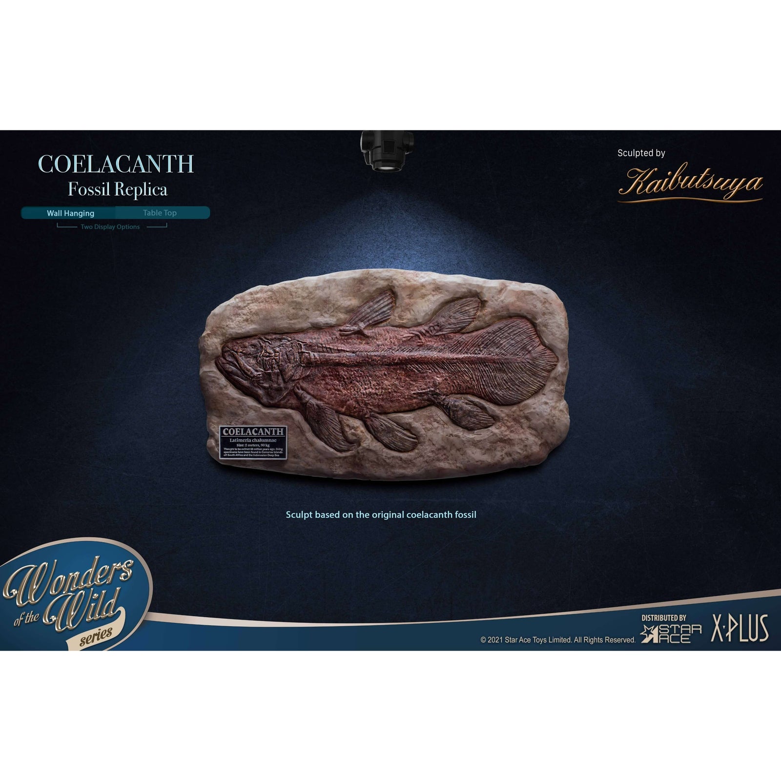 Deluxe Coelacanth 11-Inch Polyresin Statue & Fossil Plaque